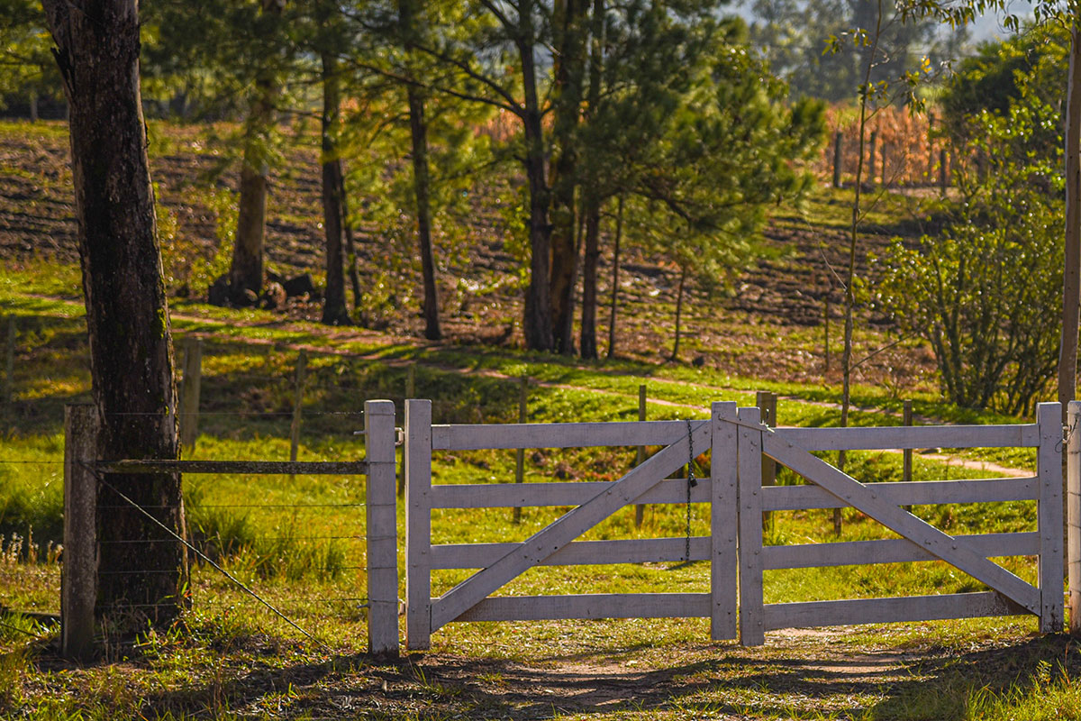 Best Ways To Maintain Your Farm Property - James Bigley Ranches
