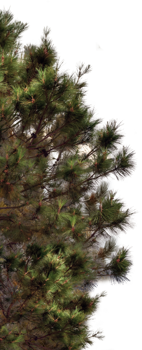 James Bigley Ranches | Ranch Real Estate & Marketing