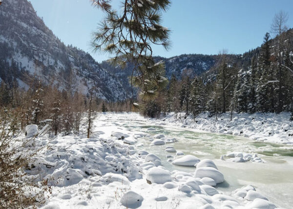The Top Five Largest Ranches in Texas: A Deep Dive into the Heart of ...