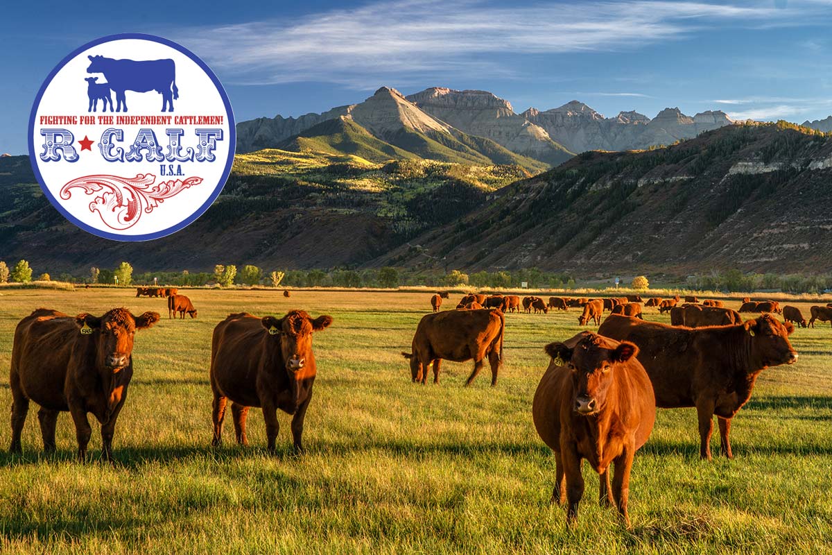 Advertise with James Bigley Ranches | Influencer Marketing