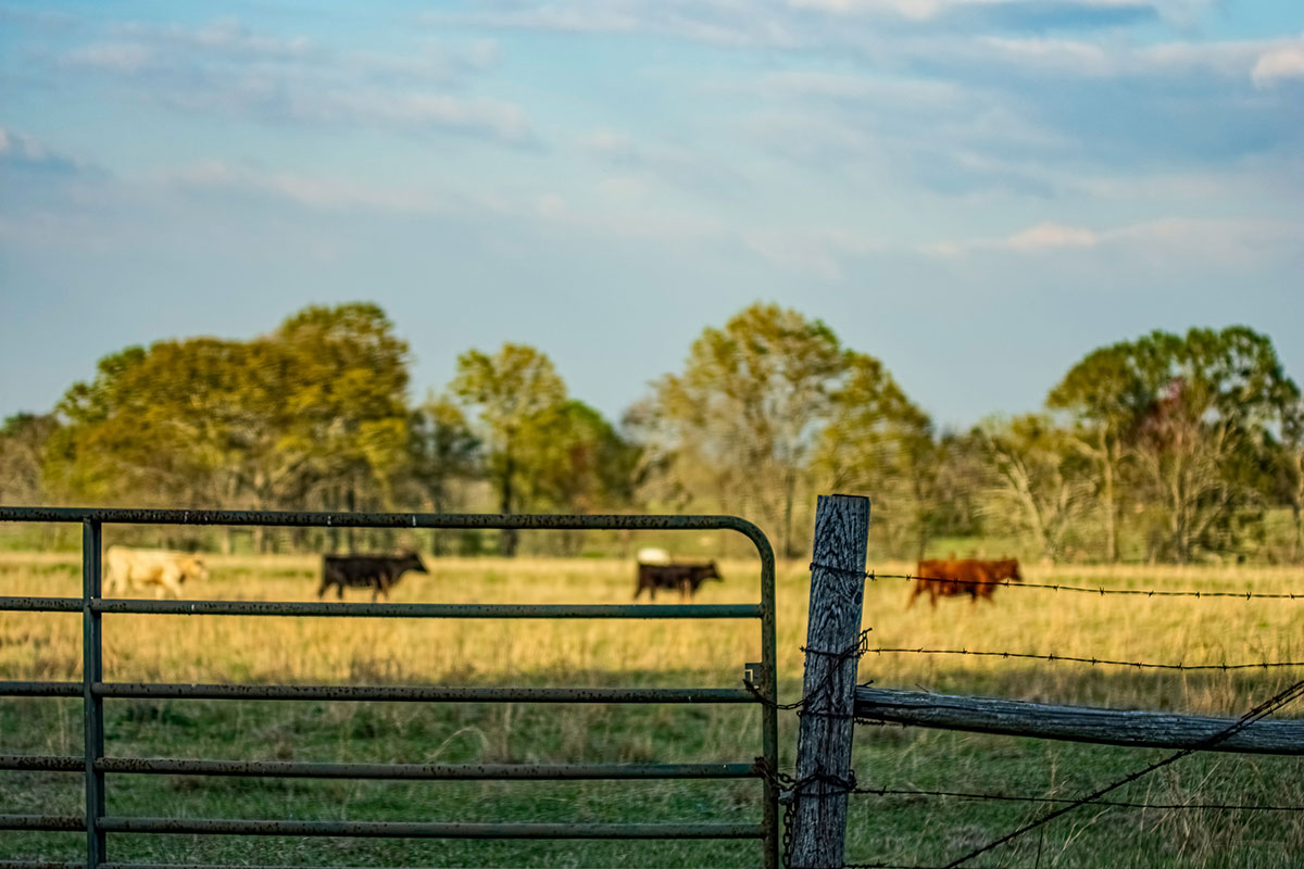 Do-It-Yourself Ranch Improvement Projects - James Bigley Ranches