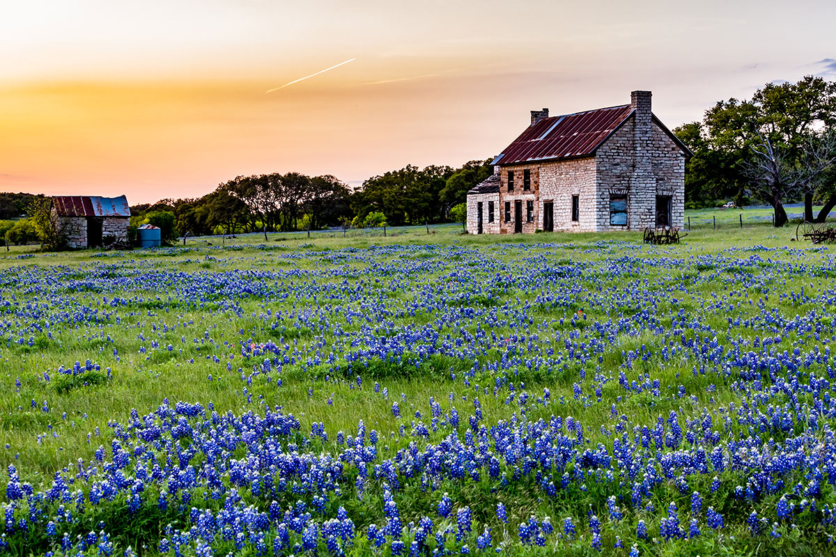 The Best Ways To Maintain Your Texas Ranch As A Ranch Owner - James ...