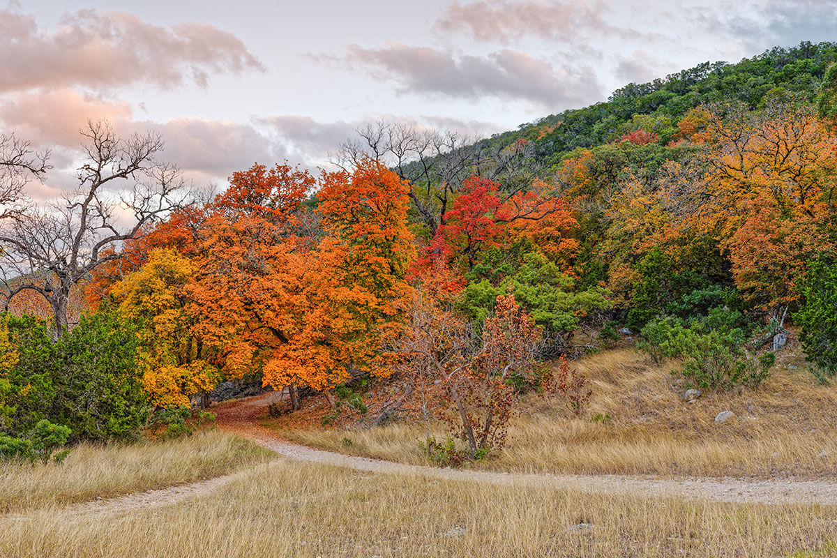 Vanderpool - James Bigley Ranches