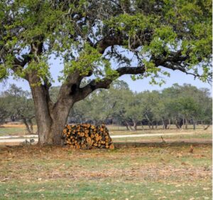 Ranch and Land Real Estate News | James Bigley