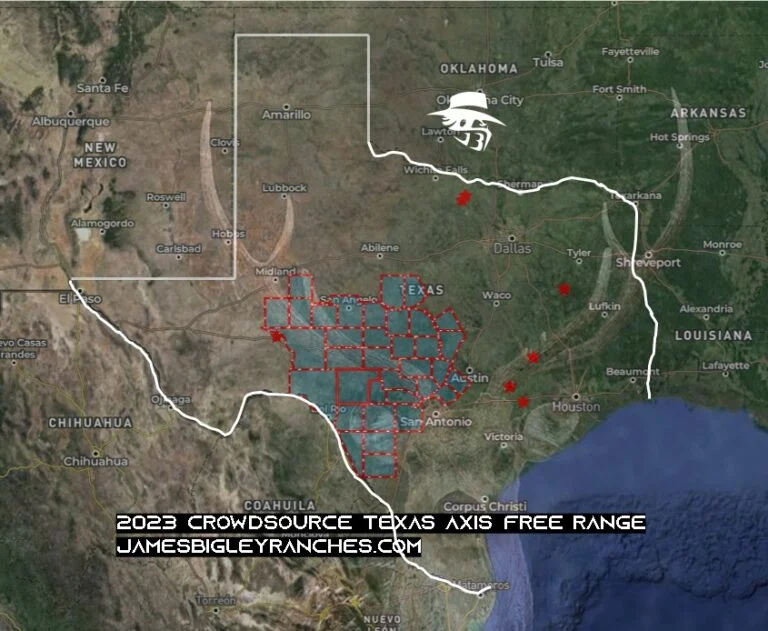 Experience the Thrill: Axis Deer Hunt Texas in Hill Country - James ...