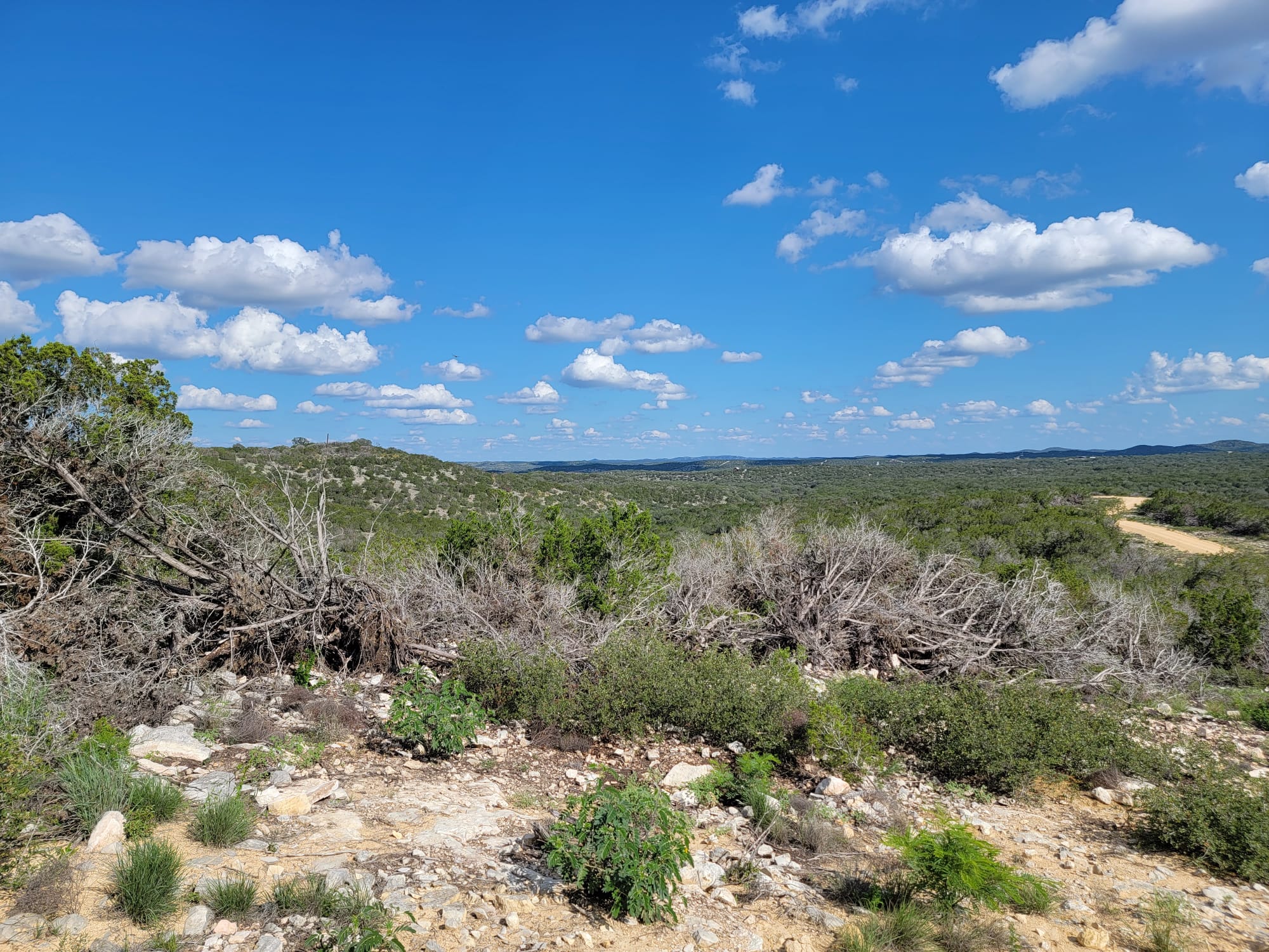 Edwards County Texas: Outdoor Haven and Land Investment Hub - James ...