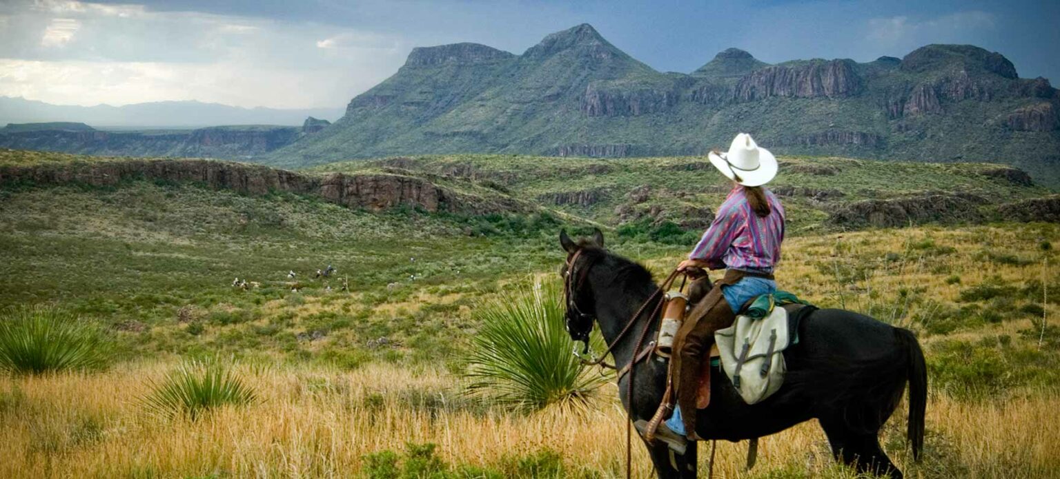 The Top Five Largest Ranches in Texas: A Deep Dive into the Heart of ...