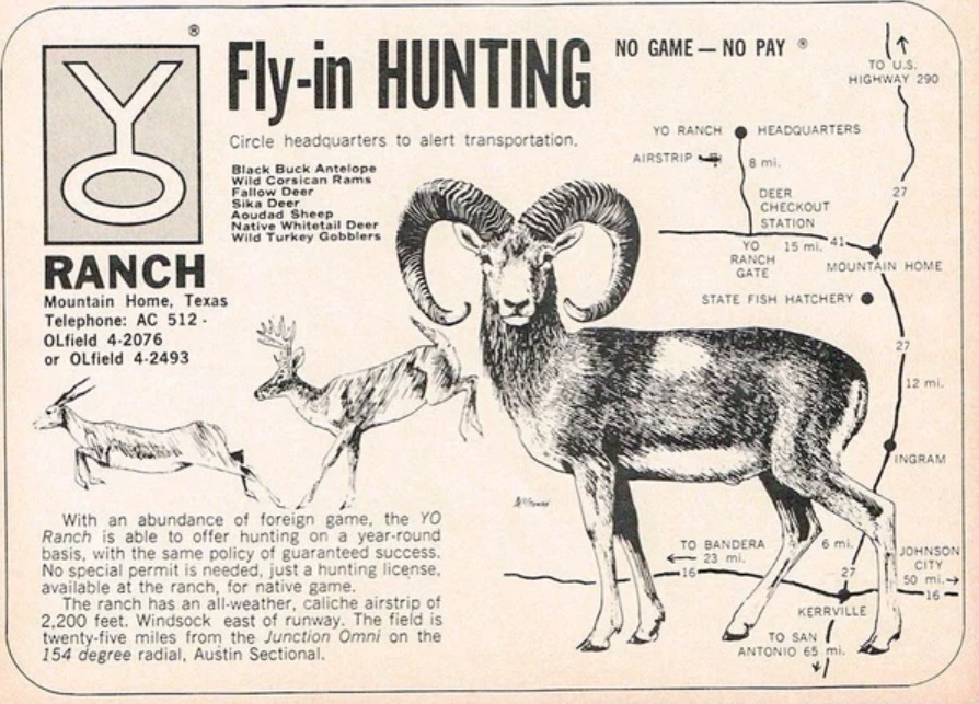 The Top Five Largest Ranches in Texas: A Deep Dive into the Heart of ...